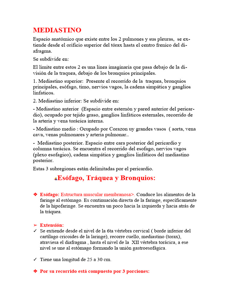 Tráquea, Esófago y Bronquios | PDF