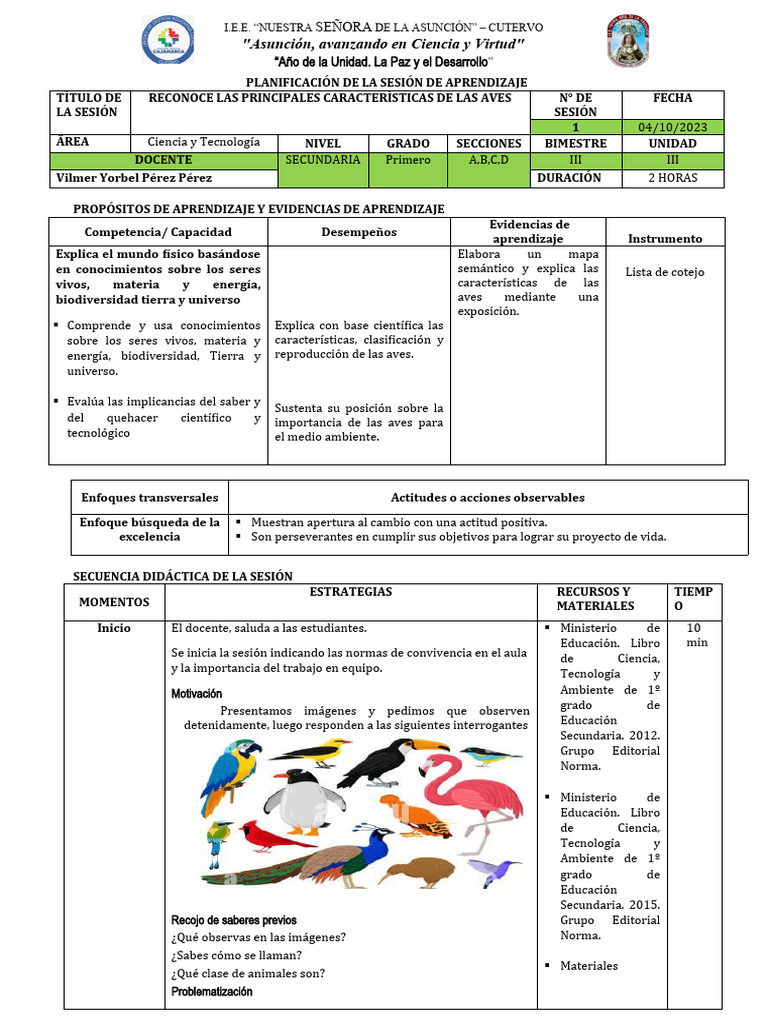 Sesion - #Las Aves | PDF | Aprendizaje | Universo