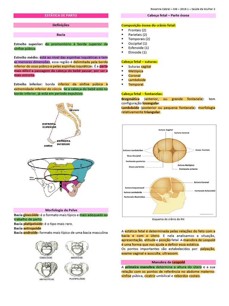 Estática de Parto: Anatomia e Manobras | PDF