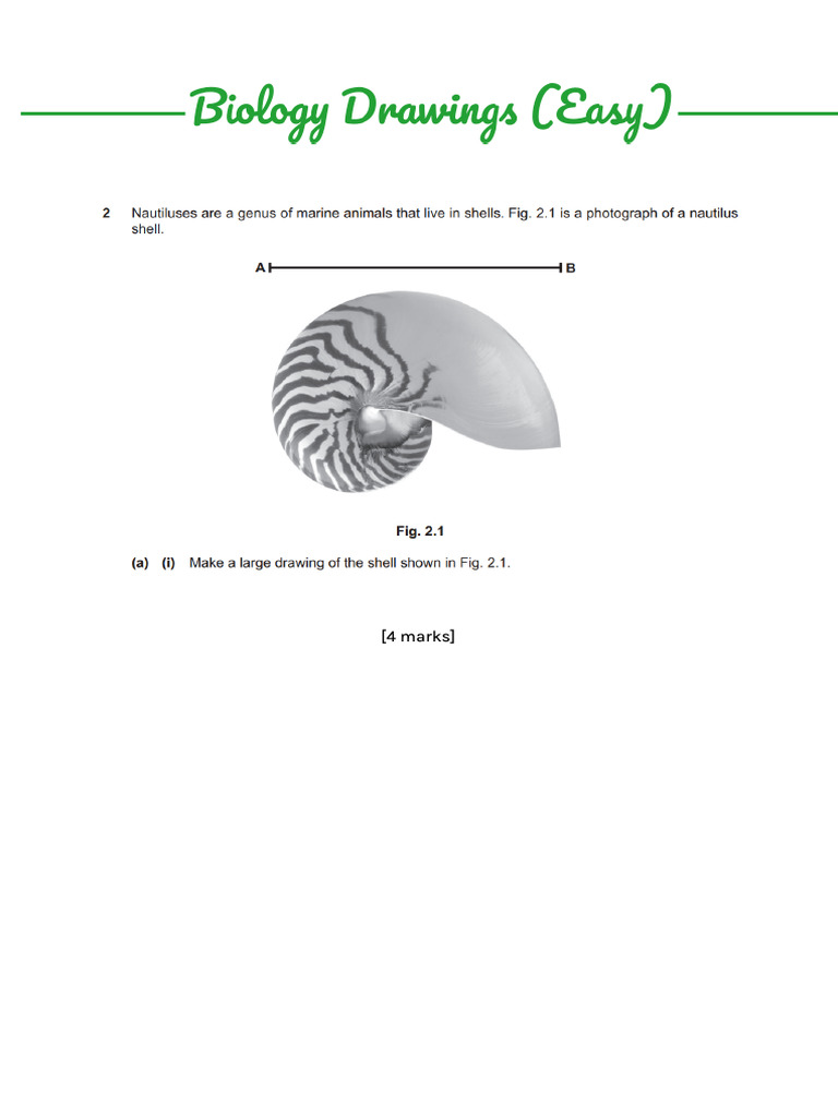 BIology Drawings Booklet by Vasumitra Gajbhiye (Easy) | PDF