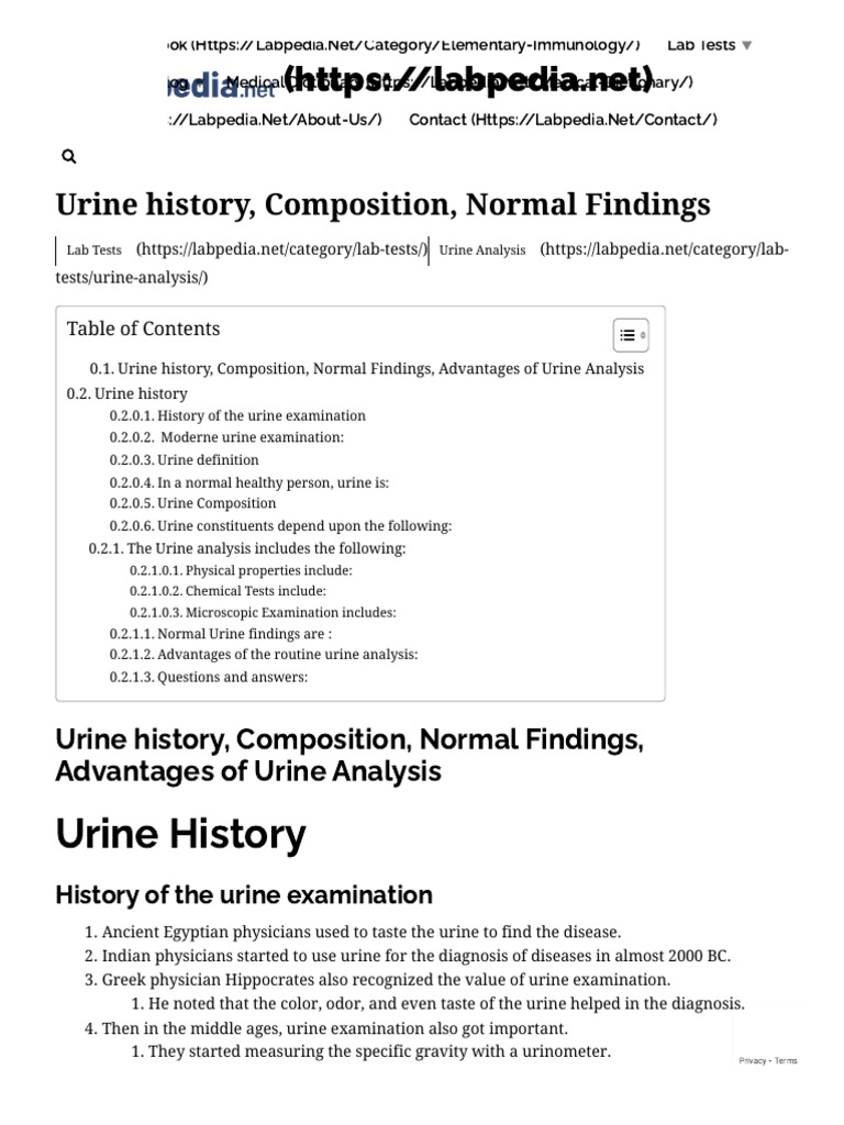 Urine History, Composition, Normal Findings | PDF | Urine | Kidney