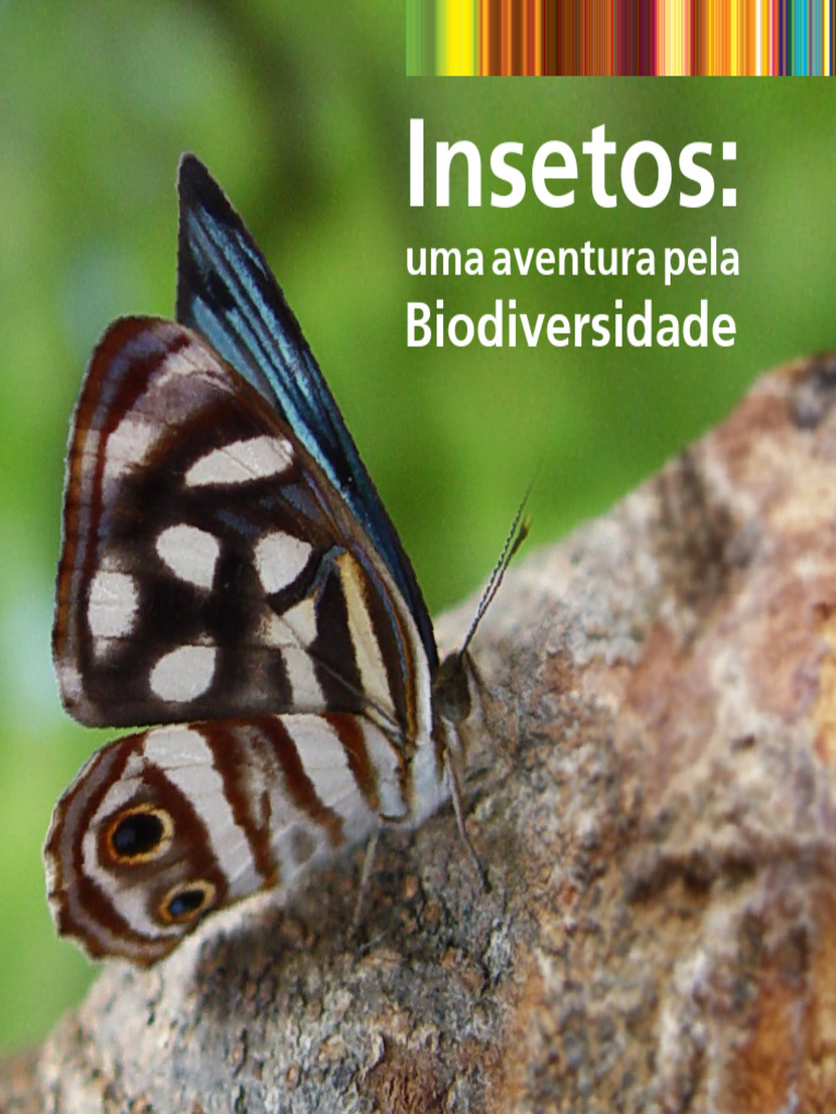 Insetos: Aventura na Biodiversidade | PDF | Entomologia | Biodiversidade