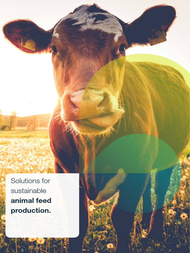 Brochure VN Feed en | PDF