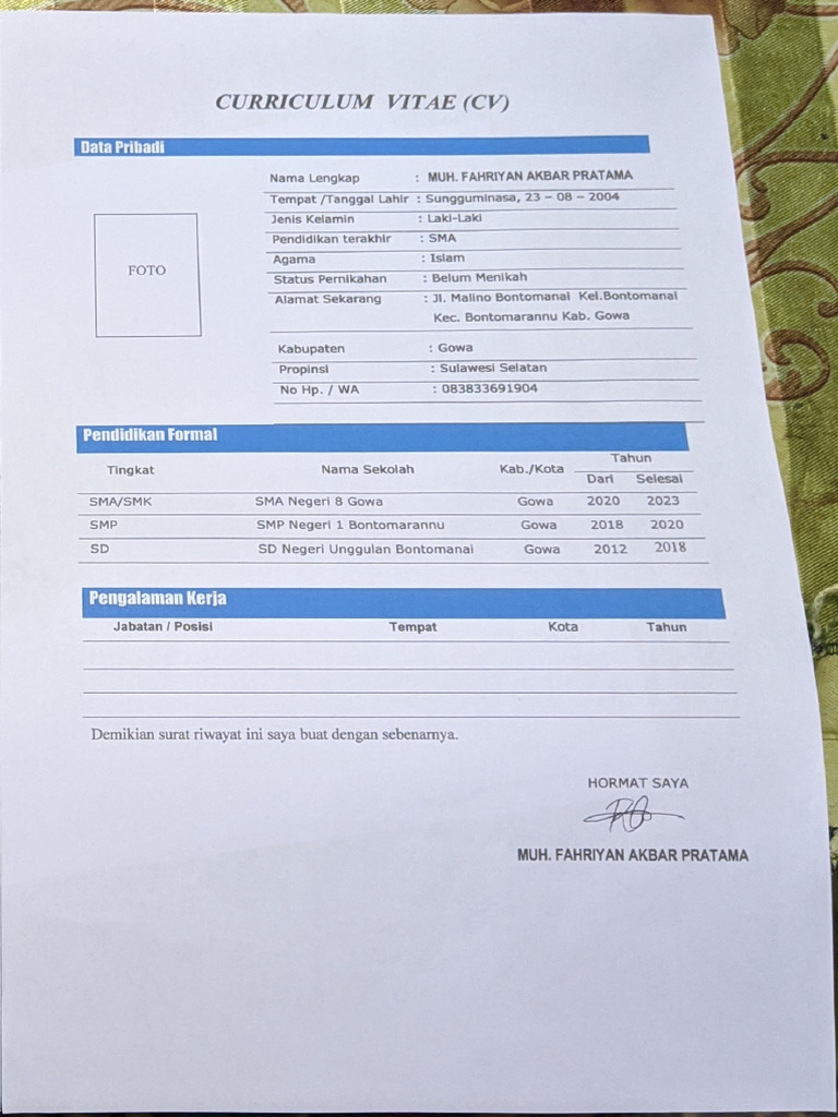CV Ryan | PDF