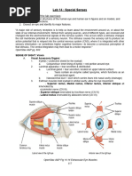 Ear and Eye Abbreviations | PDF