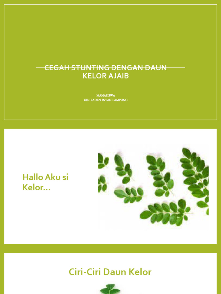 Sosialisasi Manfaat Daun Kelor | PDF