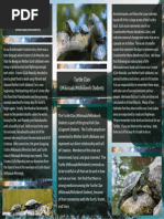 An Ojibwe Language Word List | PDF | Trees | Nature