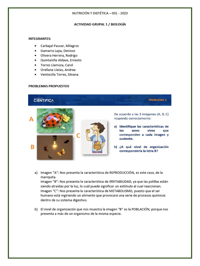 Actividad Grupal 1 | PDF