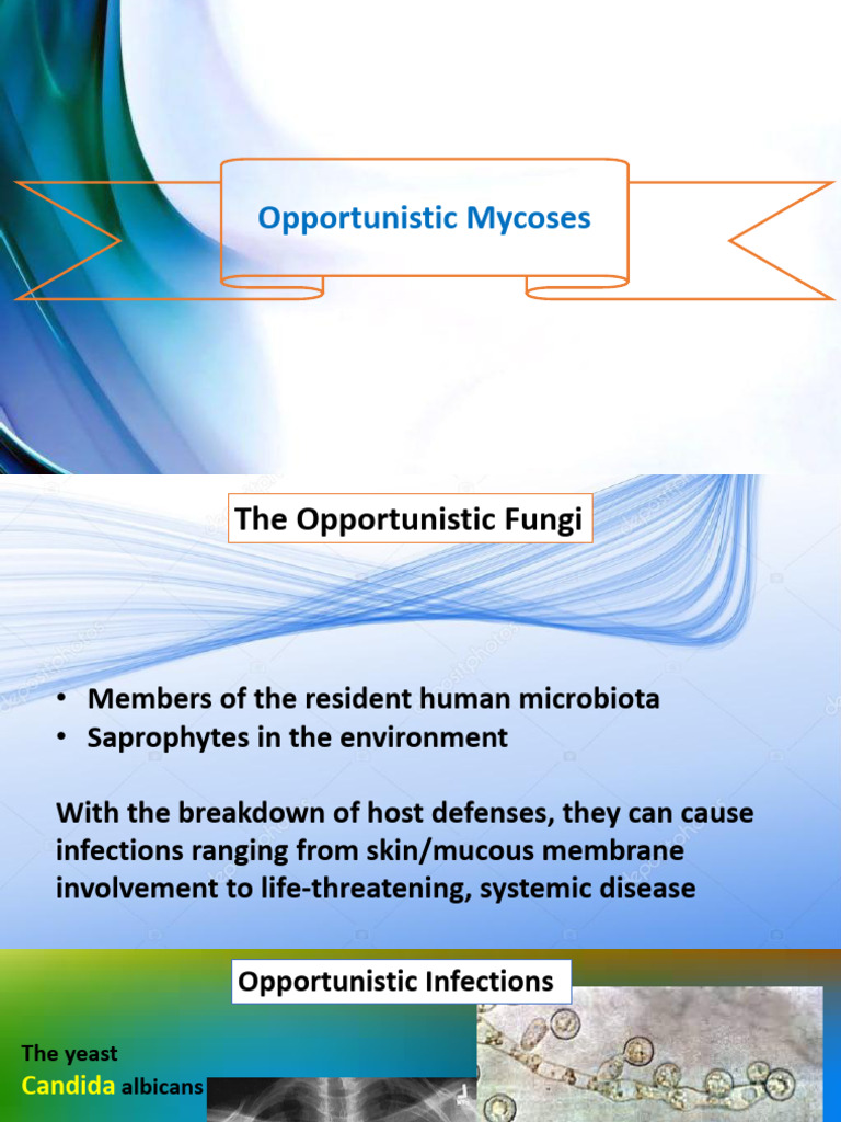 Opportunistic Mycoses | PDF | Candidiasis | Candida (Fungus)