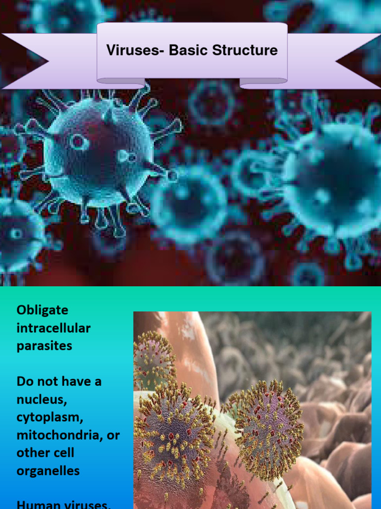 Viruses - Basic Structure | PDF Viruses - Basic Structure | PDF