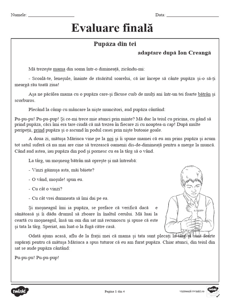 Clasa A IIIa Evaluare Finala LLR Fi de Evaluare Cu Descr - Ver - 3 | PDF