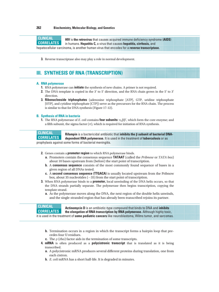 III. Synthesis of RNA Transcription | PDF