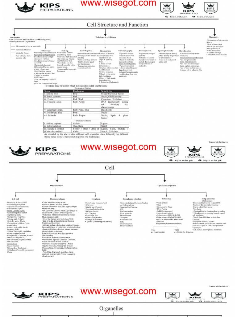 KIPS Bio Quick Revision | PDF
