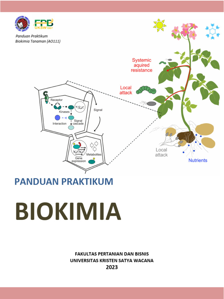 Petunjuk Praktikum Biokimia | PDF