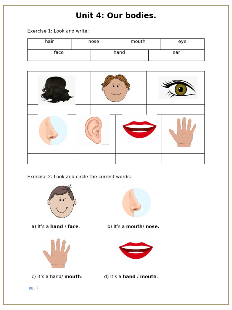 Unit 4 - Exercise Global Success 3 | PDF