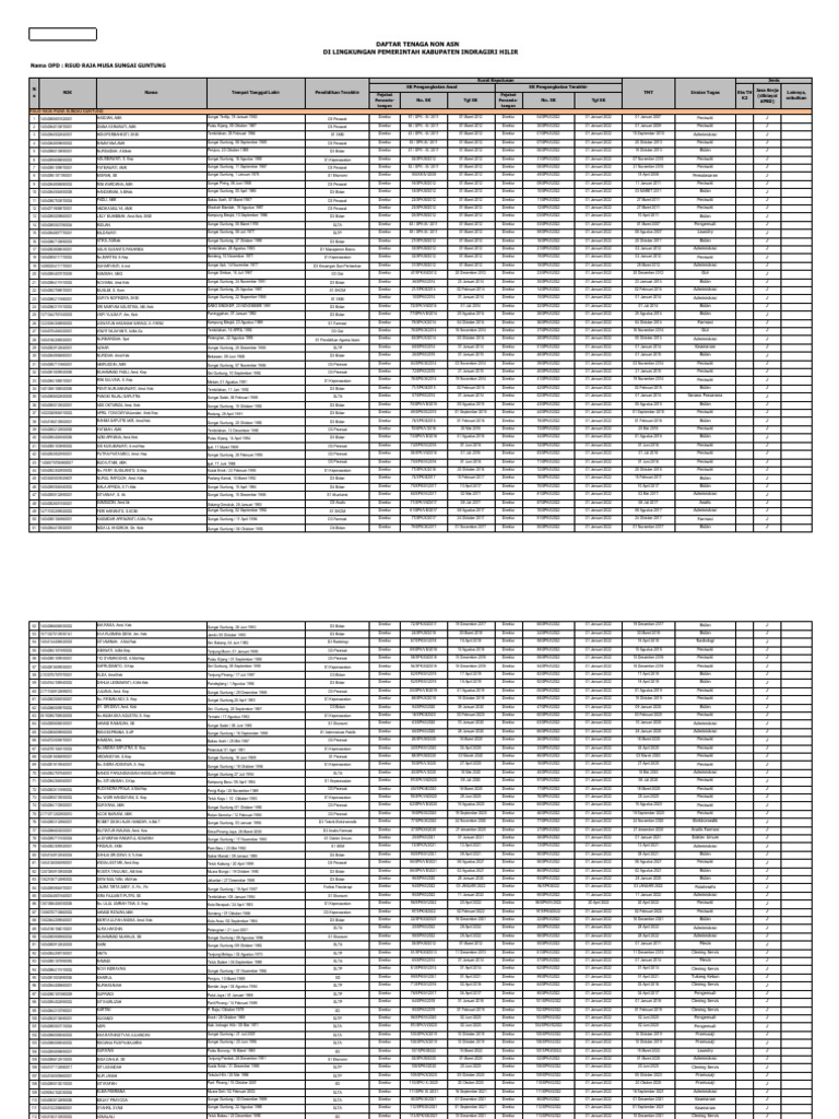 Lampiran Pendataan Non-ASN RSUD RAJA MUSA Ok | PDF