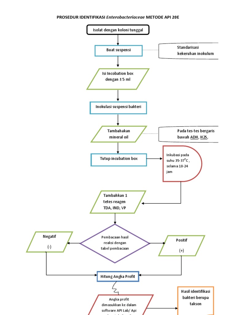 Flowchart - Annisa Nurul Chaerani-Identifikasi Family ...
