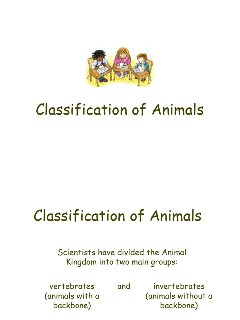 Classification of Animals | PDF