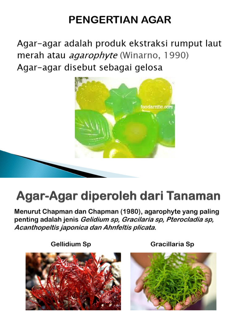 Agar Agar PDF | PDF
