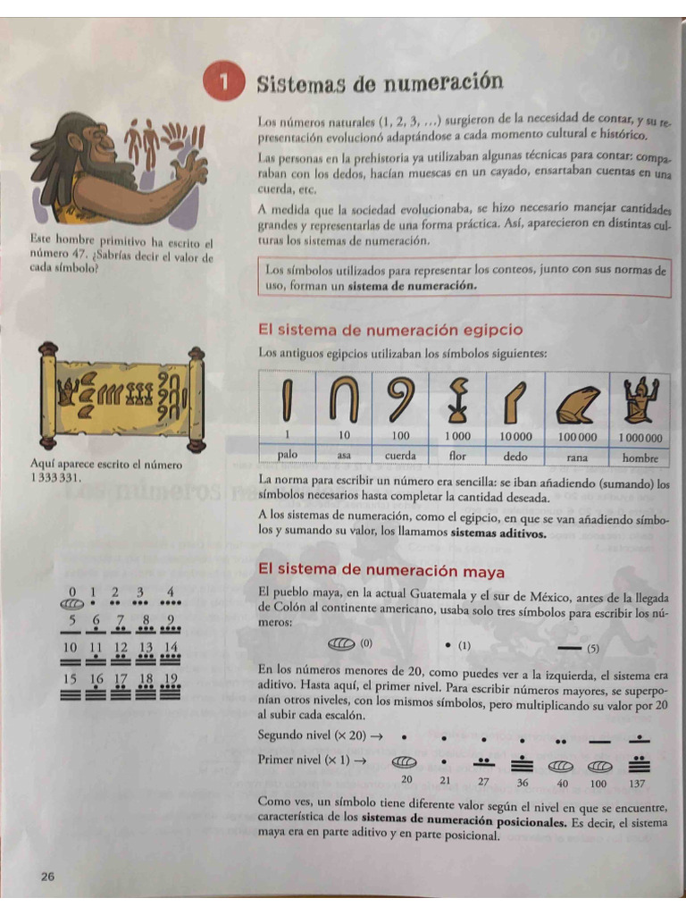 Tema 1 Libro 1°ESO | PDF