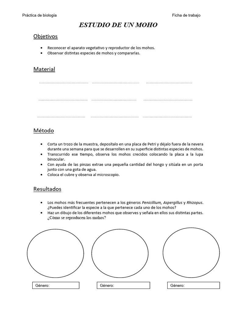 Practica Estudio de Un Moho | PDF