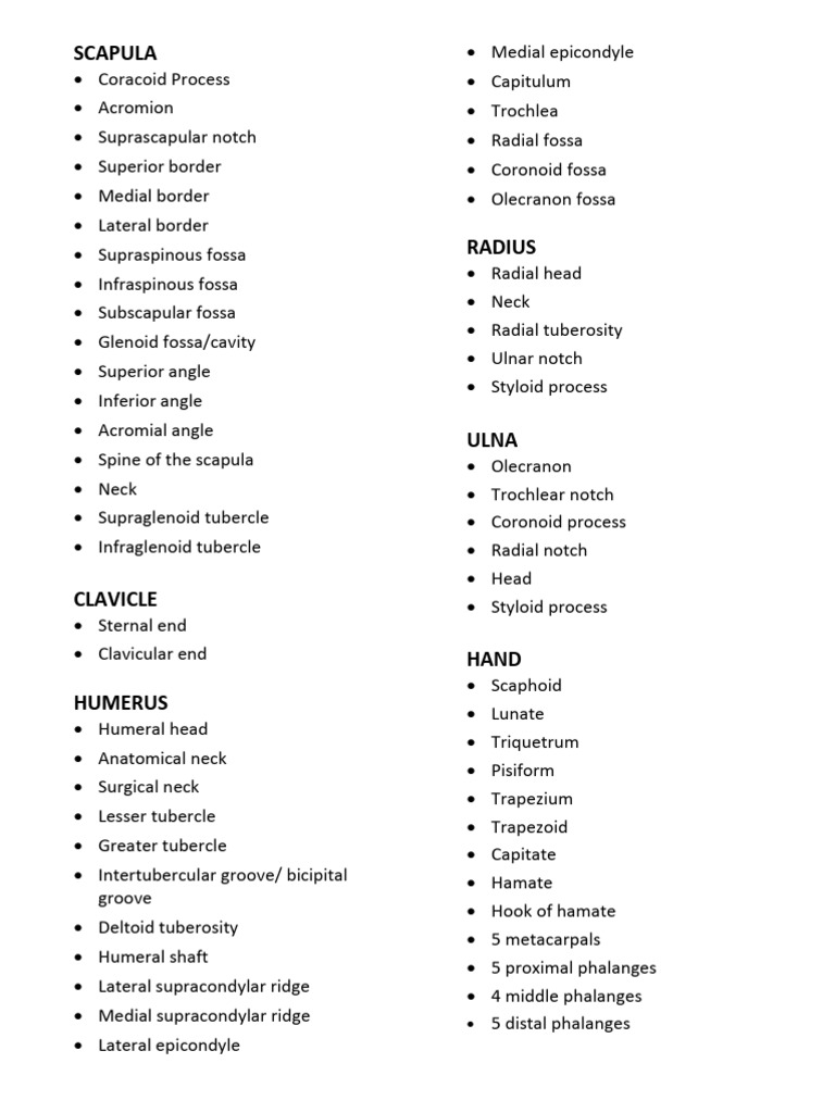 Parts of Bones List | PDF