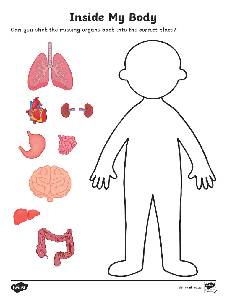 Za Kps 57 Inside My Body Organs Activity Sheet Ver 4 | PDF | Philosophy