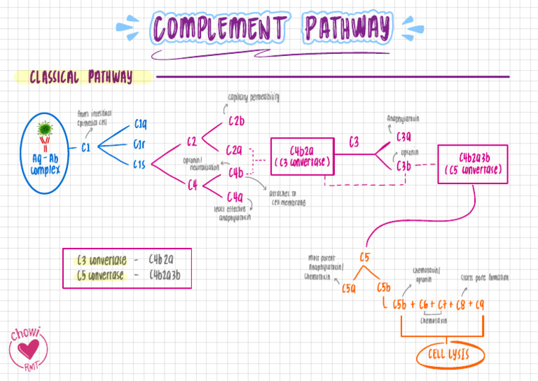 Classical Pathway | PDF