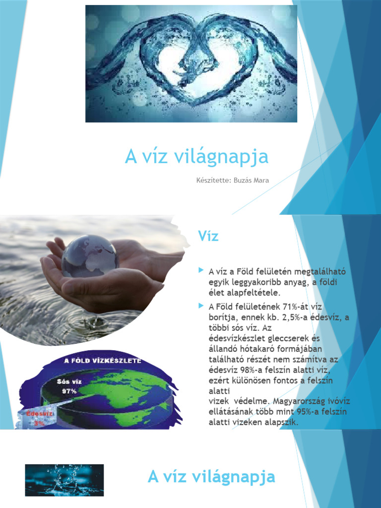 A Víz Világnapja | PDF