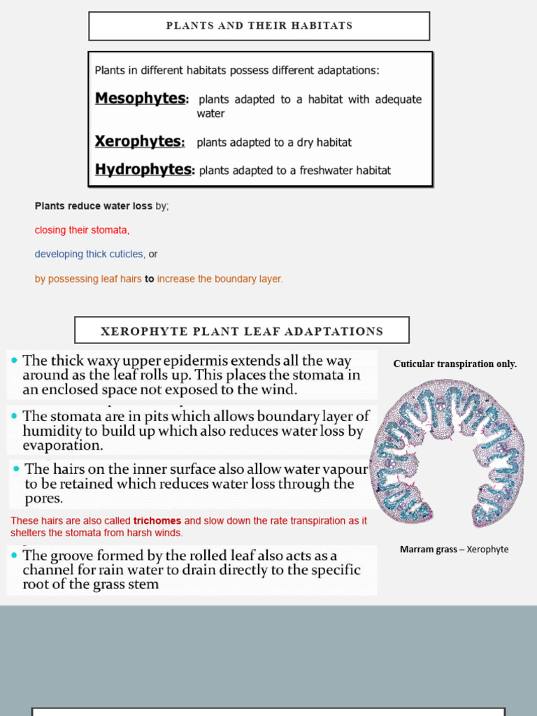 Introduction To CHP 7 | PDF