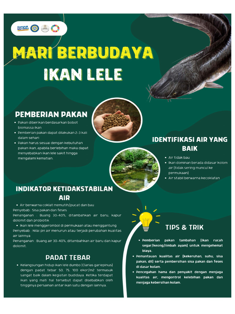 Rizky Newwww - Ap260 - 2x - Polos | PDF