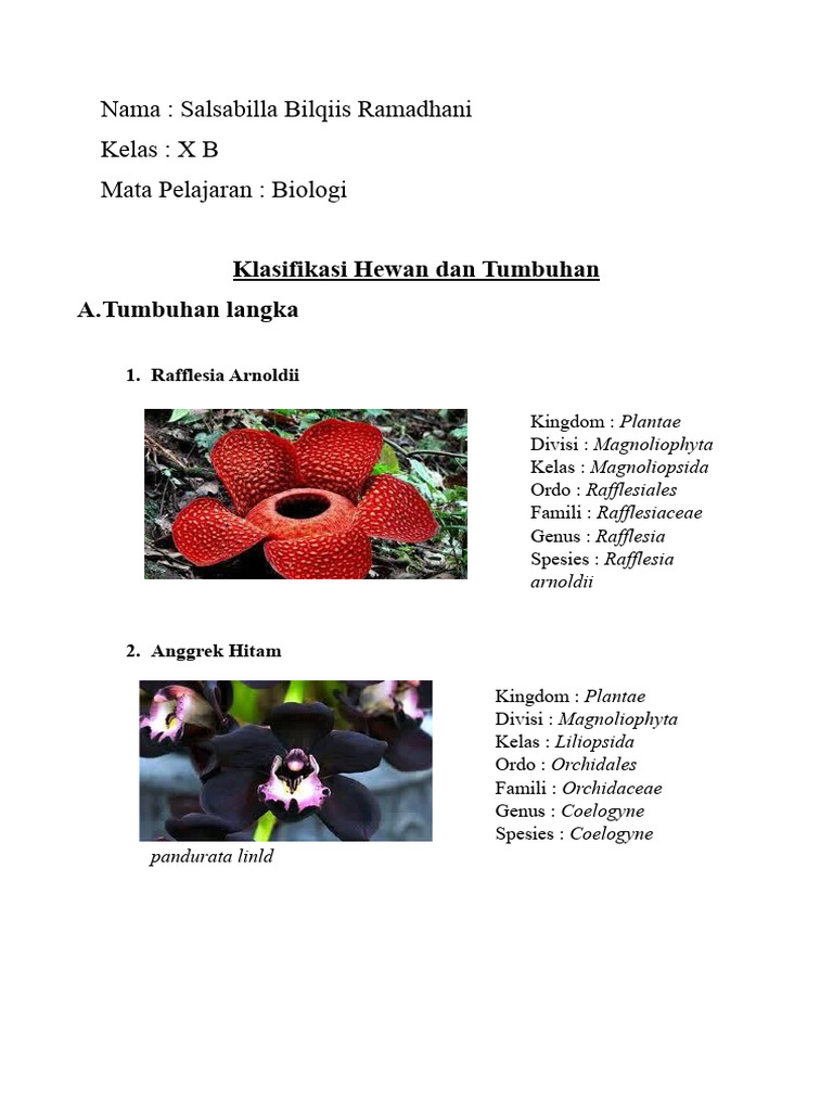 Klasifikasi Hewan Dan Tumbuhan | PDF