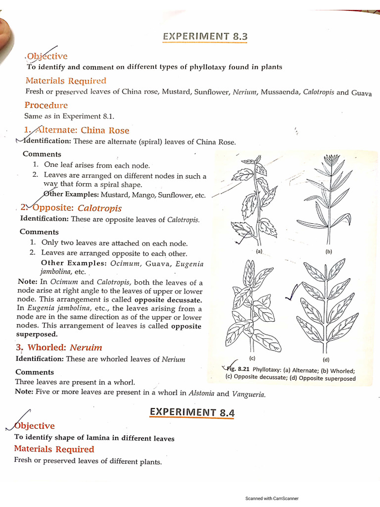 Biology Practical 4 | PDF