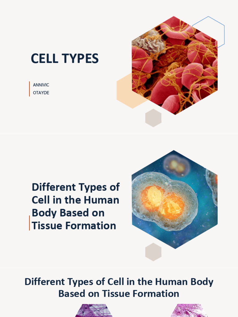 Cell Types | PDF