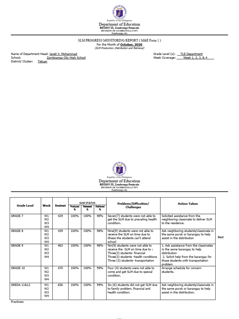 1.1 SLM Progress Monitoring Report | PDF