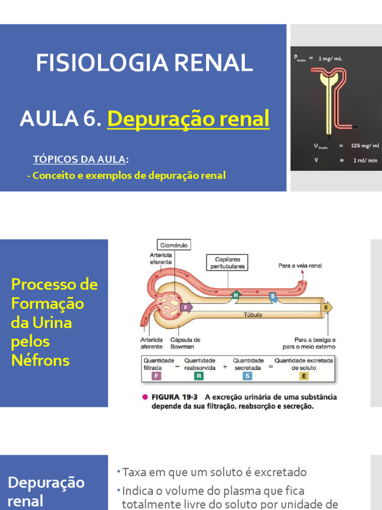 Aula 6 Depuracao Renal | PDF