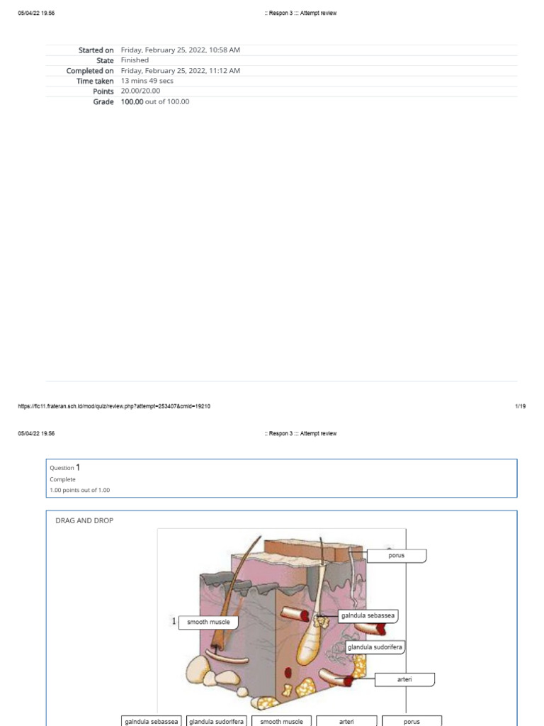 Respon 3a - Attempt Review | PDF