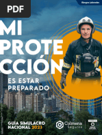 Protocolo de Simulacro | PDF | Simulación | Primeros auxilios