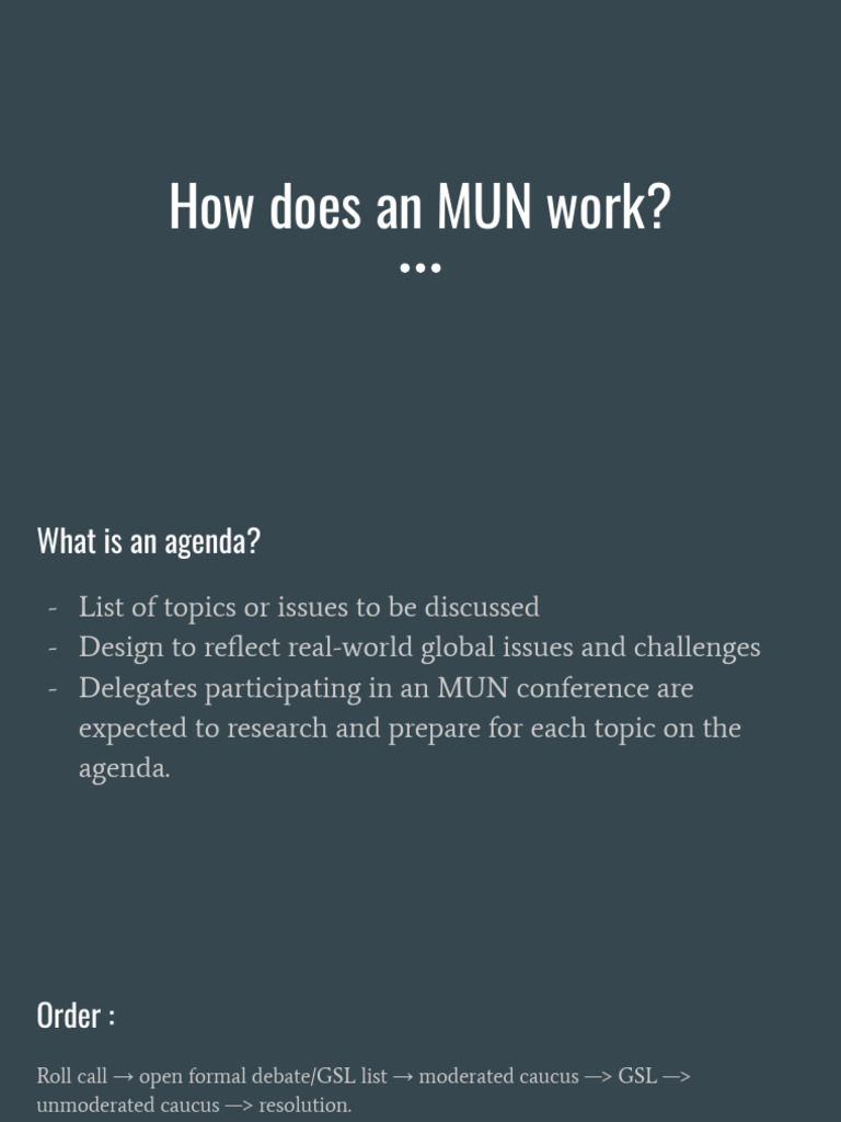 How Does An MUN Work | PDF