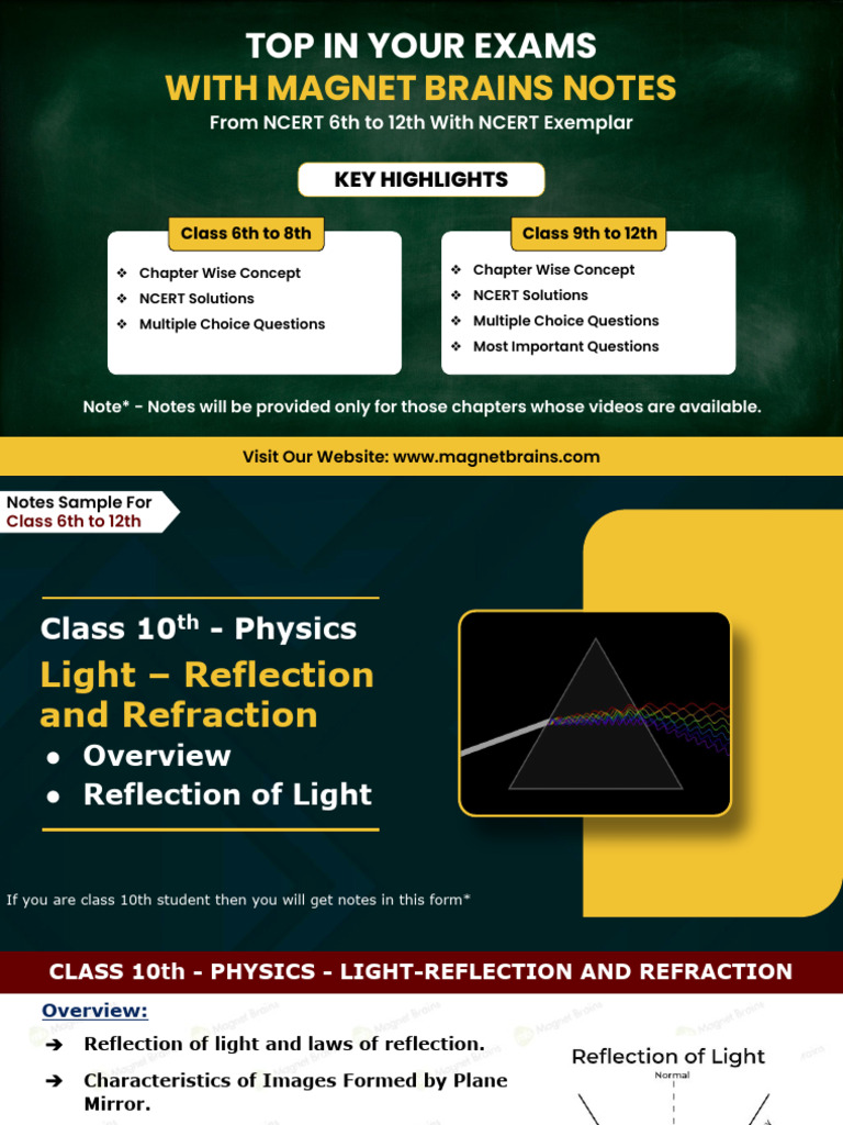 Magnet Brains Notes Sample | PDF