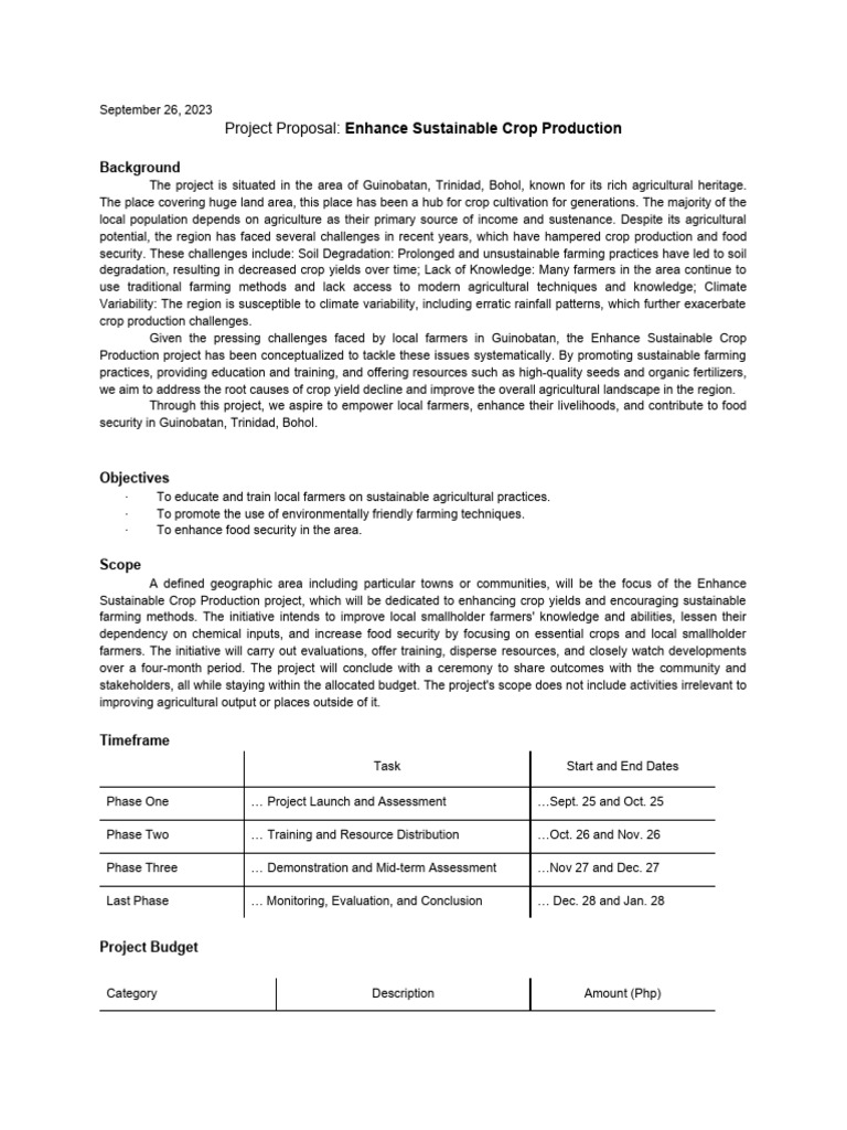 Project Proposal Template | PDF