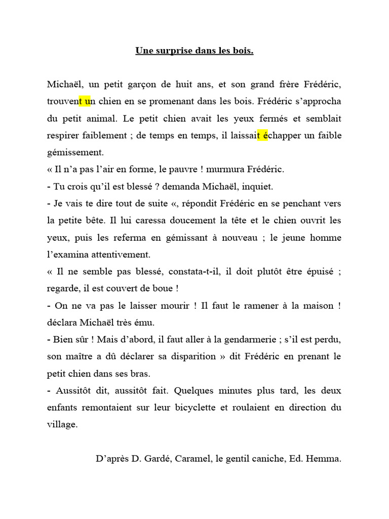 Une Surprise Dans Les Bois | PDF