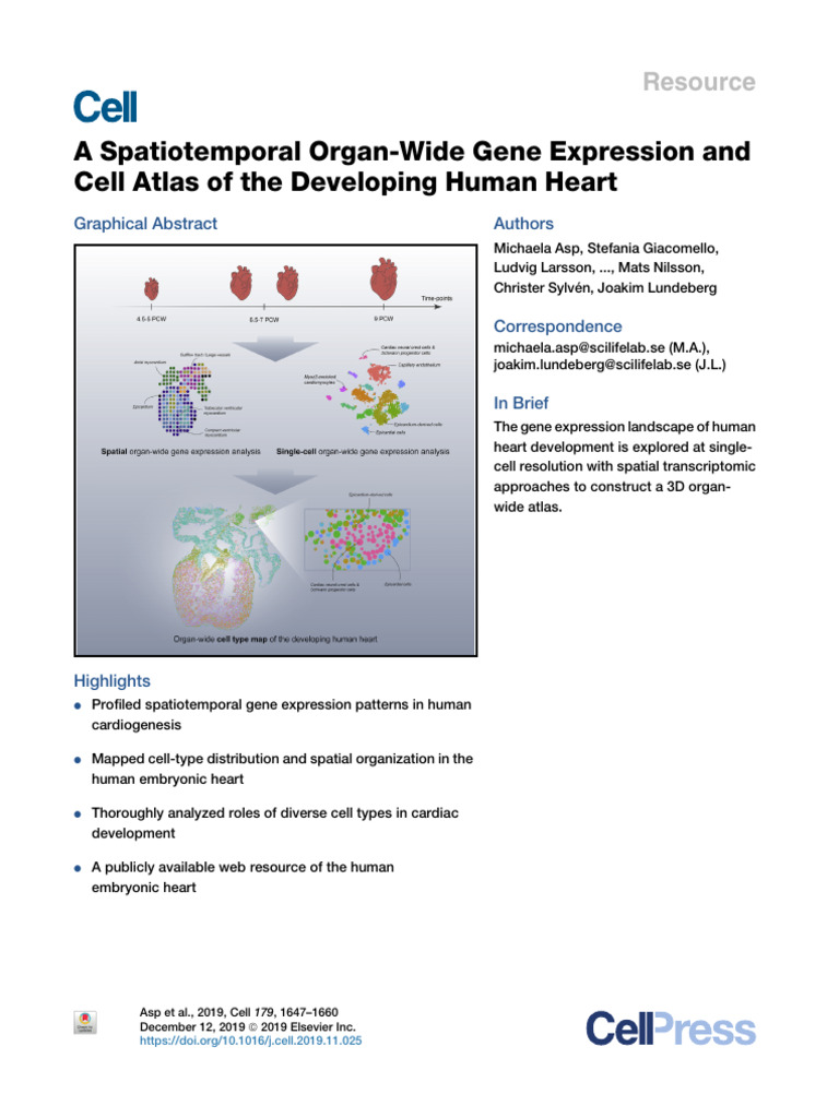 A Spatiotemporal Organ Wide Gene Expression And Cell Atlas Of The Developing Human Heart Pdf