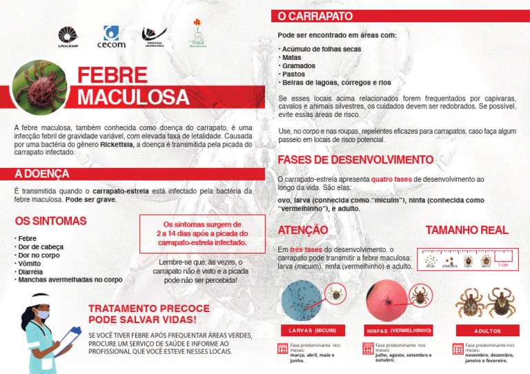 Folder para Dowload | PDF