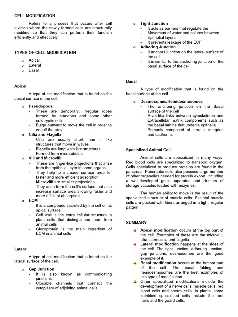 Cell Modification | PDF | Cell (Biology) | Epithelium