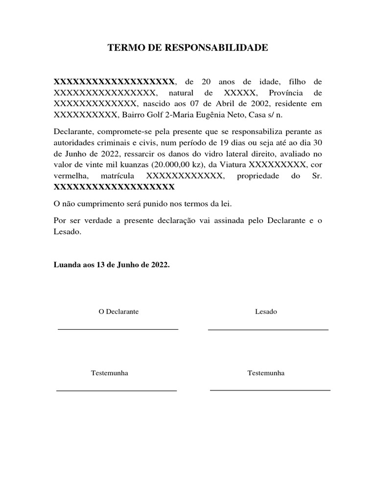 Termo de Responsabilidade | PDF