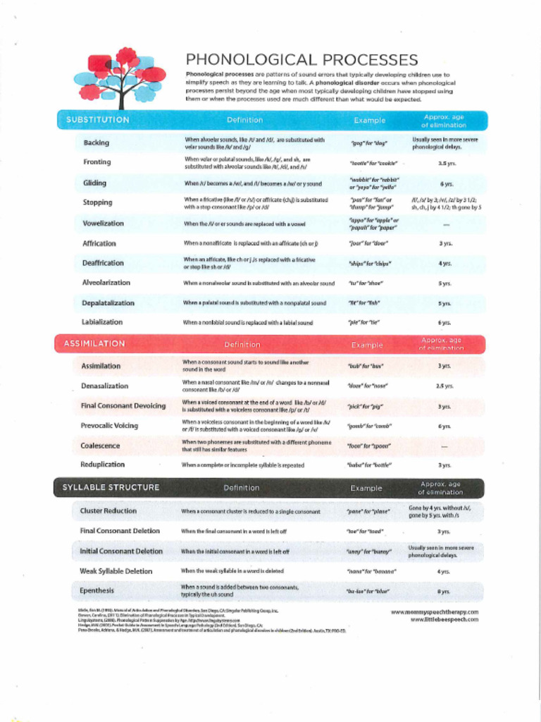 Phonological Processes | PDF