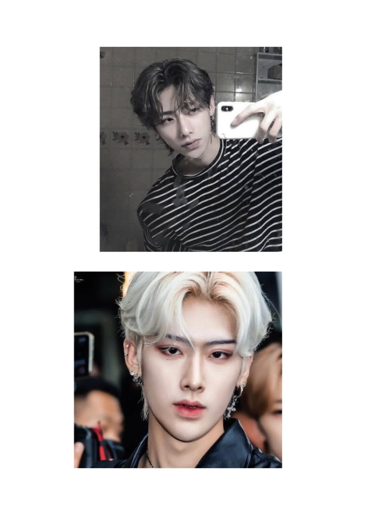 Shen Ricky ZB1 | PDF