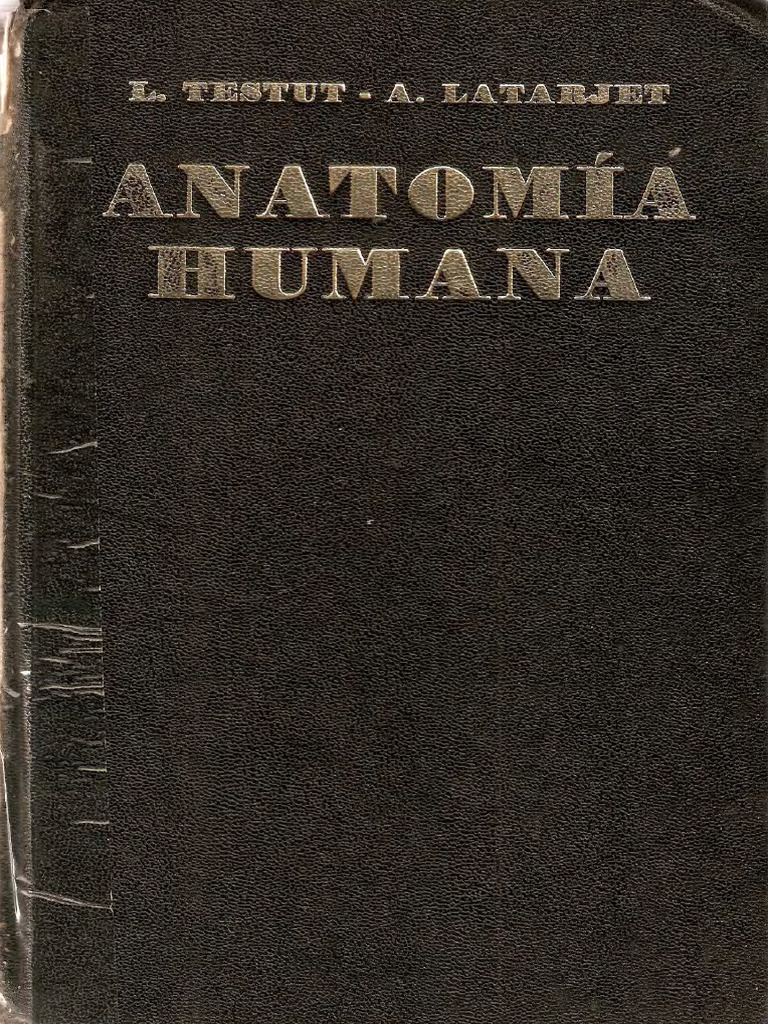 Tratado de Anatomia Humana Testut Latarjet T3 | PDF