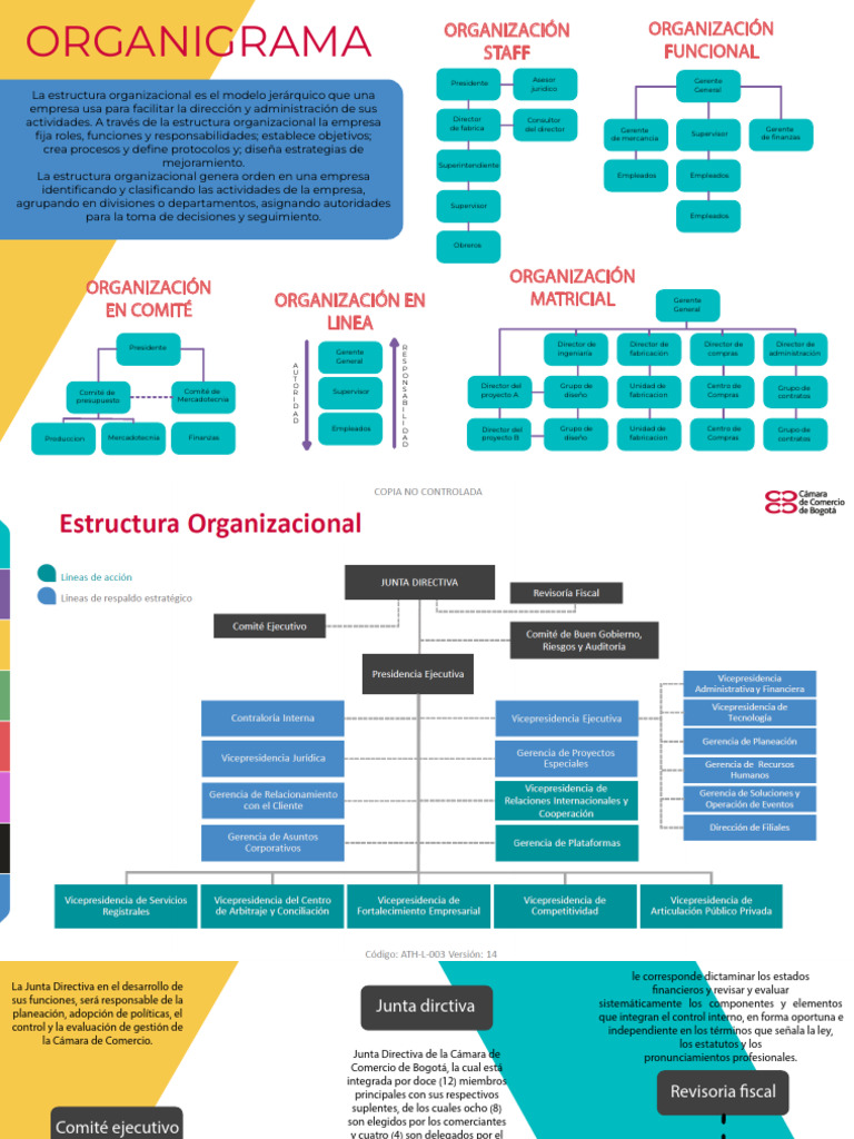 Estructura Organizacional y Organigramas | PDF | Negocios económicos | Economias
